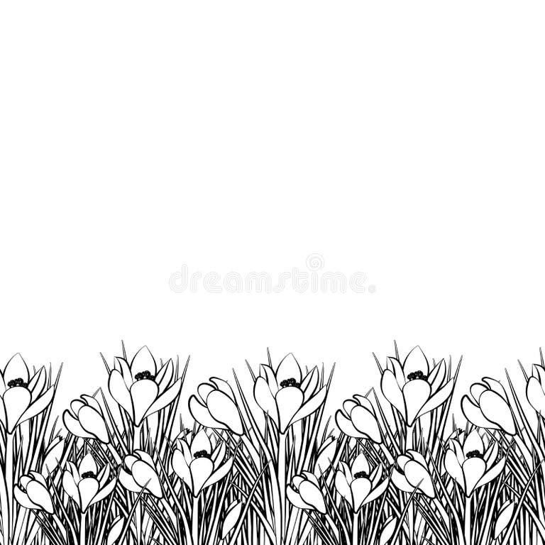 Crocus Background Stock Illustrations – 26,894 Crocus Background Stock ...
