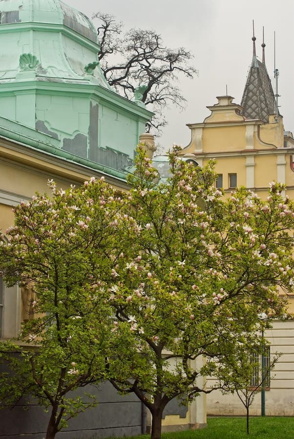 Spring in Prague. Czechia stock image. Image of city - 115588327