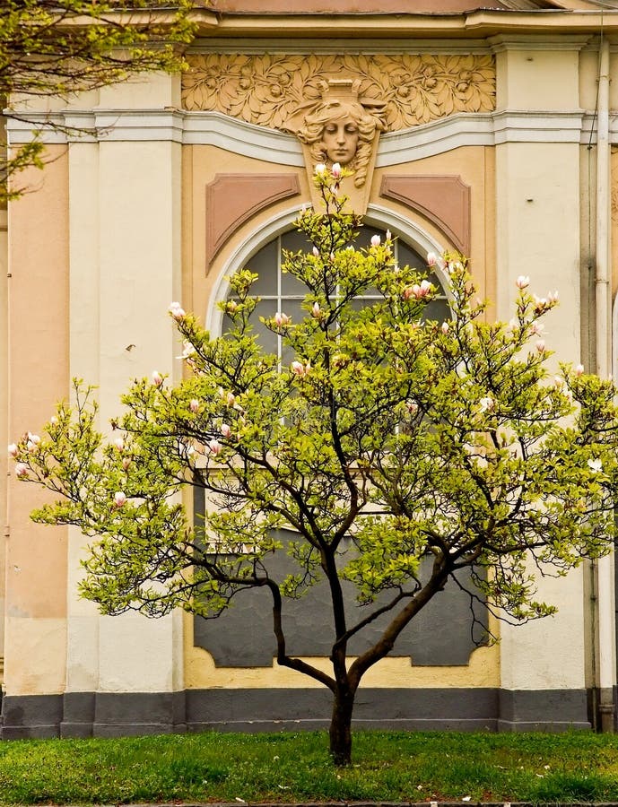Spring in Prague. Czechia stock image. Image of city - 115588327