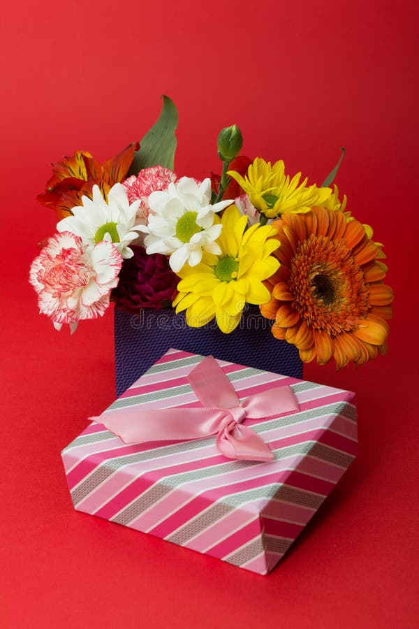 Spring present stock image. Image of daisy, carnation - 51141963