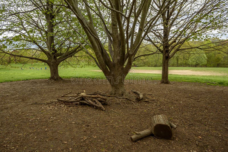 Spring in Prospct Park stock image. Image of blossom - 369390593
