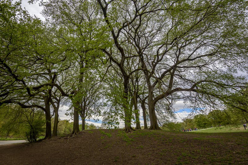 Spring in Prospct Park stock image. Image of united - 369390605