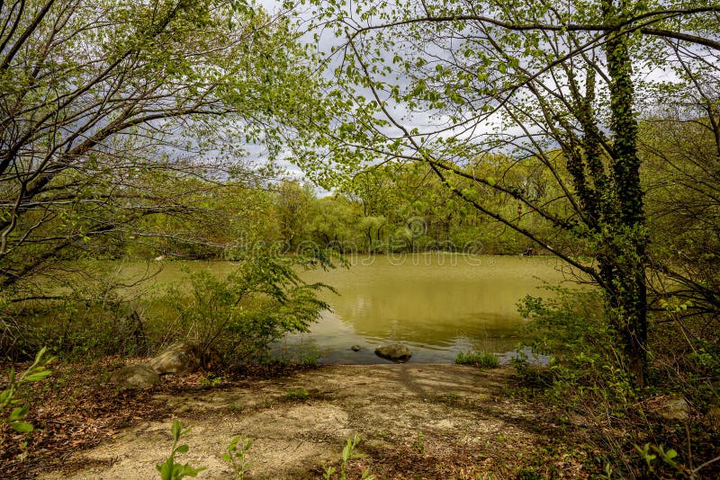 Spring in Prospct Park stock image. Image of kings, outdoors - 369390607