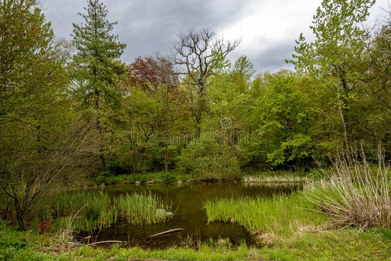 Spring in Prospct Park stock photo. Image of prospect - 369390622