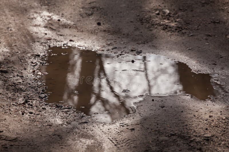 Spring puddle stock image. Image of park, season, puddle - 88993967
