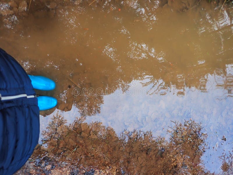 Spring Puddle.puddle Walk. Feets in Blue Rubber Boots in Spring Water ...
