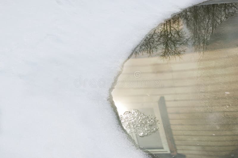 Spring puddle reflections stock photo. Image of water - 89058488