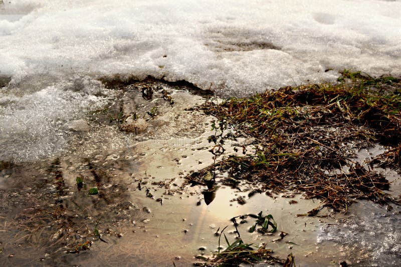 Spring puddle reflections stock photo. Image of reflecting - 89058358
