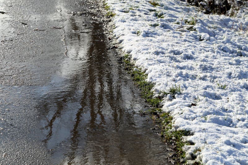 Spring Puddles with Reflections of Trees in Them Stock Image - Image of ...
