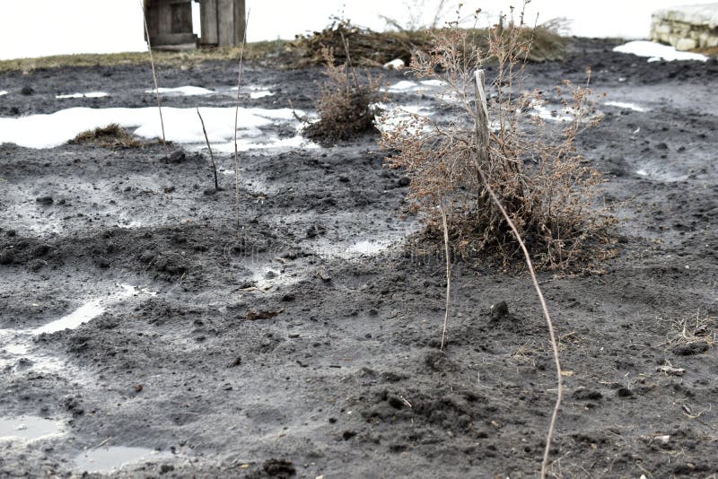 Spring Puddles and Water on the Land of the Dacha Stock Image - Image ...