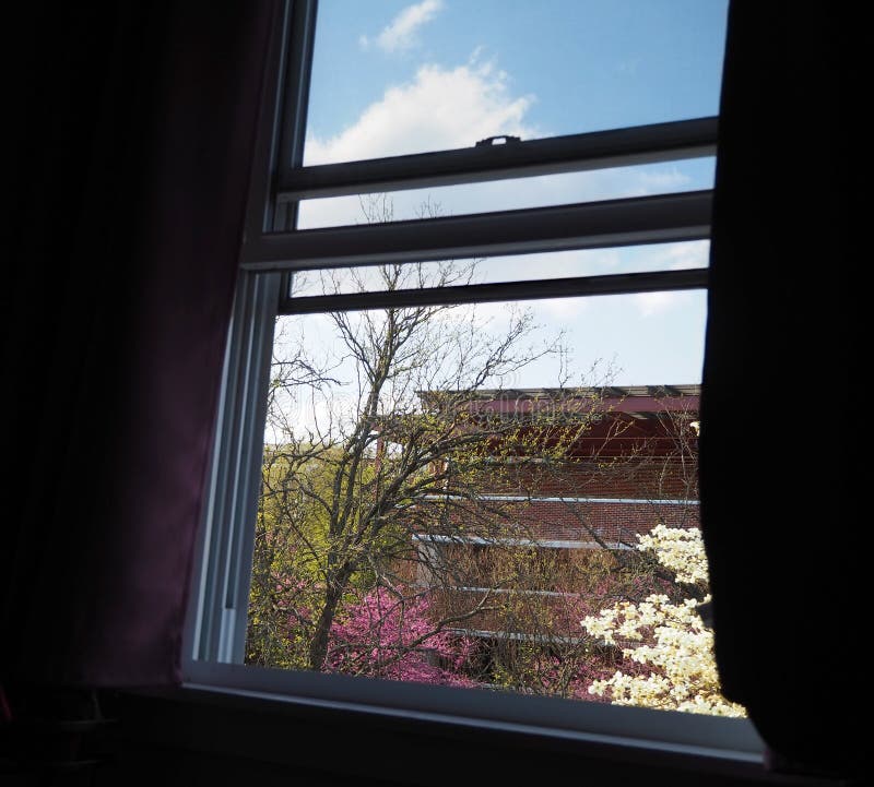 Spring through Quarantine Window Stock Photo - Image of coronavirus ...