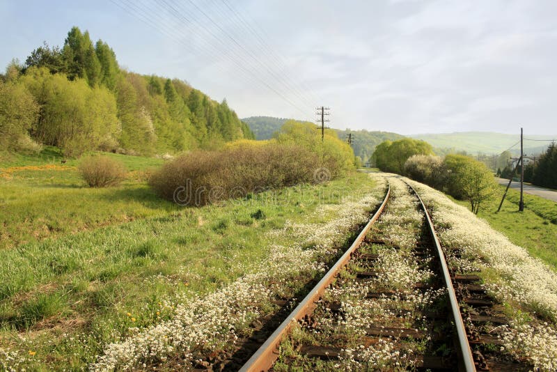 Spring railroad stock image. Image of flowers, covered - 9755391