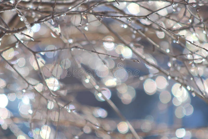 Spring stock photo. Image of water, frame, moisture, wisconsin - 68893880