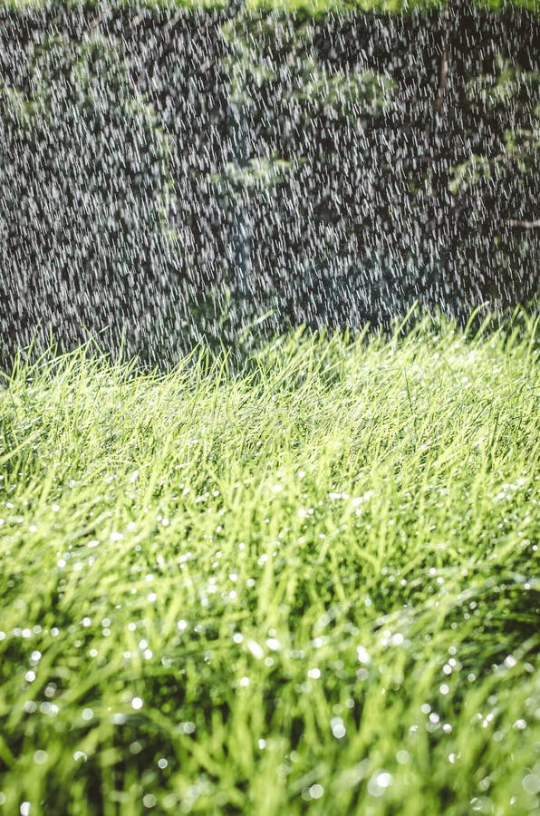 Spring Rain Droplets Falling Down into Green Grass Stock Image - Image ...