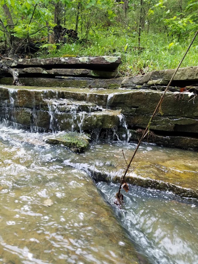 Spring Rain Holler stock photo. Image of nature, plant - 232587590