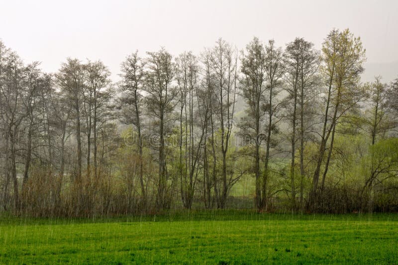 Spring rain stock image. Image of rural, fall, rain, concept - 30880587