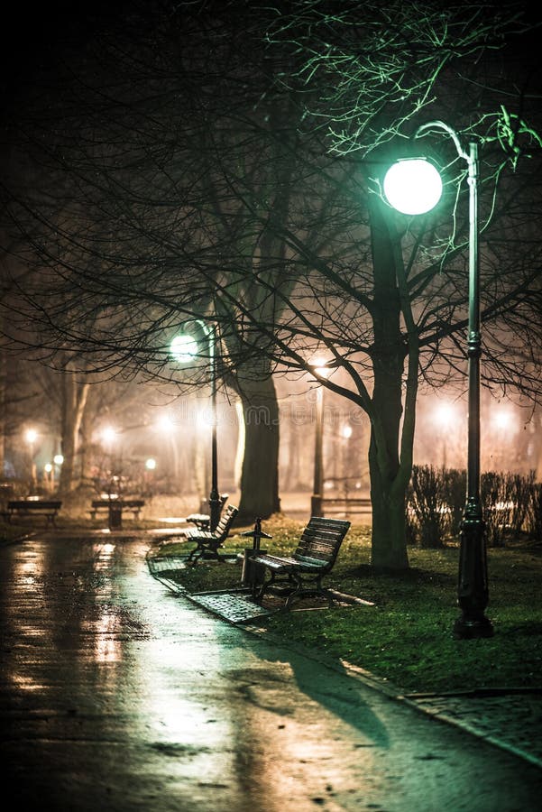 Spring Rain in the Park stock photo. Image of landscape - 71575794