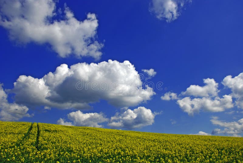 Spring field stock image. Image of skynature, clouds, vacations - 5078749