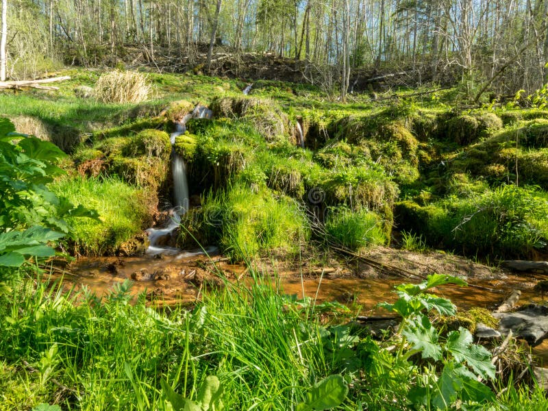 A Spring with a Rapid Rusty Waterfall, Rocks, Green Moss and Spring ...