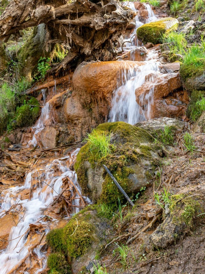 A Spring with a Rapid Rusty Waterfall, Rocks, Green Moss and Spring ...
