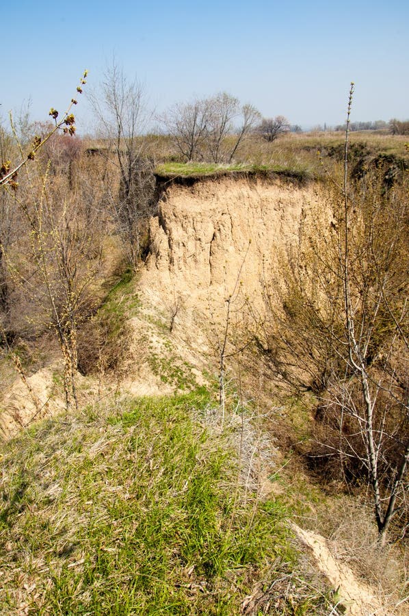 Spring ravine stock photo. Image of idyllic, plant, forest - 122729350
