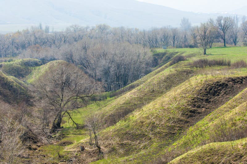 Spring ravine stock image. Image of green, horizon, ravine - 122729363