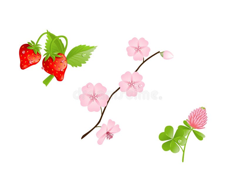 Spring realistic clip art stock vector. Illustration of blossom - 4240574