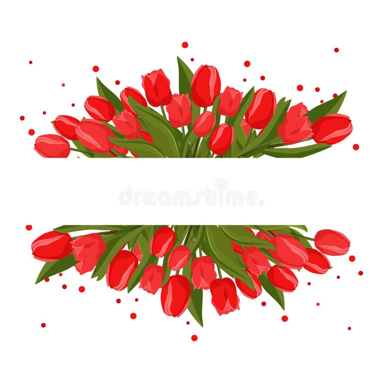 Spring Rectangular Frame with Red Tulips for Text. Vector Template with ...
