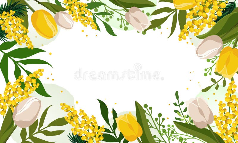 Spring Rectangular Frame with Yellow Tulip, Mimosa for Text. Vector ...