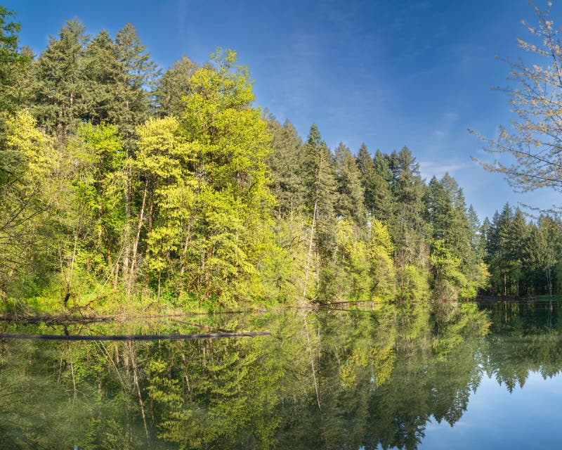 Peavy Arboretum Stock Photos - Free & Royalty-Free Stock Photos from ...