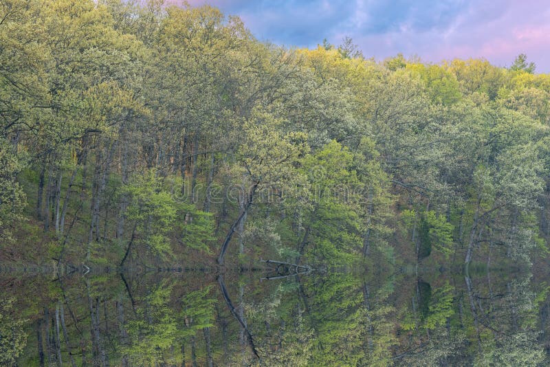 Spring Dawn Whitford Lake with Fog Stock Image - Image of calm, scene ...