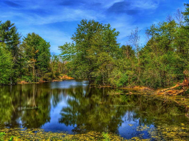 Spring Reflections on the Pond Stock Image - Image of surrounding ...