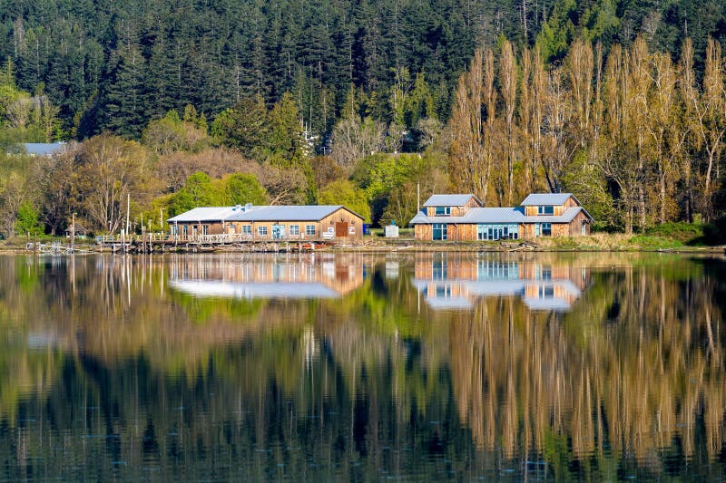 Spring reflections stock image. Image of tree, spring - 90773525