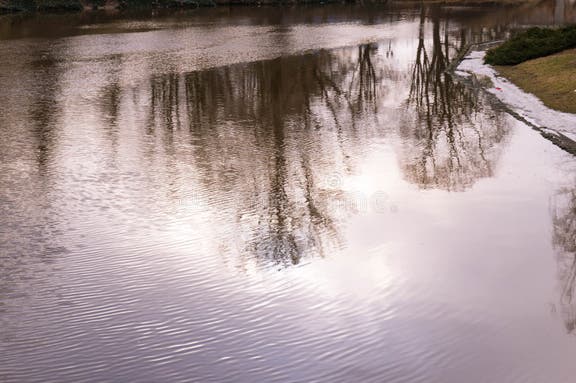 Spring reflections stock photo. Image of reflected, green - 88793990