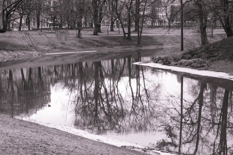 Spring reflections stock photo. Image of green, season - 88794000