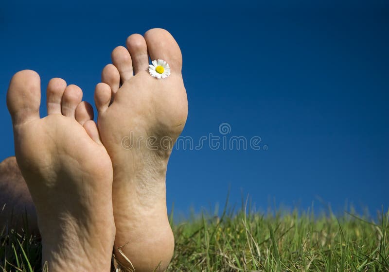 Spring legs stock image. Image of people, nature, flowers - 5660137