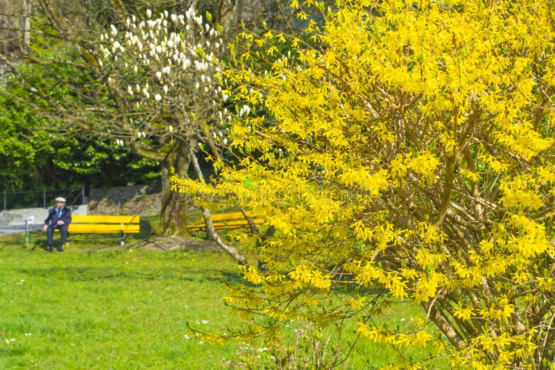 Spring revival time. stock photo. Image of blue, macro - 104480576