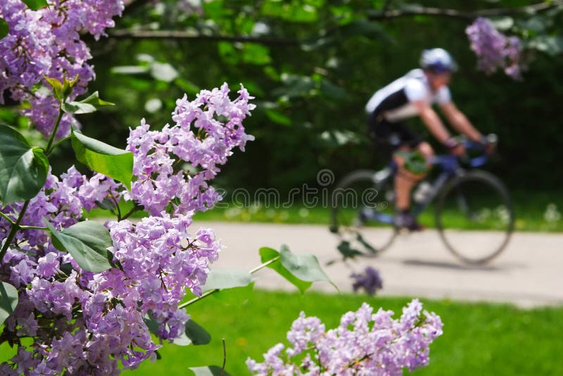 Cross country ski race stock image. Image of male, event - 7565243