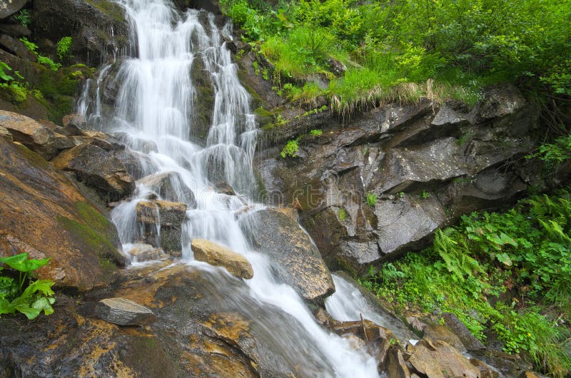Spring rill flow. stock photo. Image of jungle, rain - 54640590