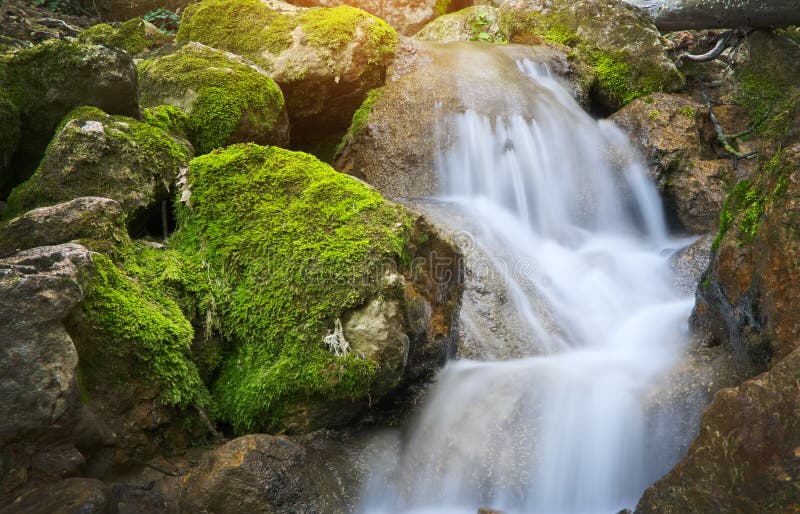 Spring rill flow. stock photo. Image of jungle, rain - 54640590
