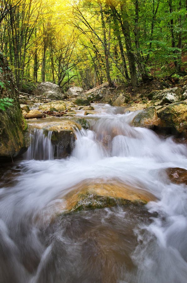 Spring rill flow. stock image. Image of fresh, nature - 52498605