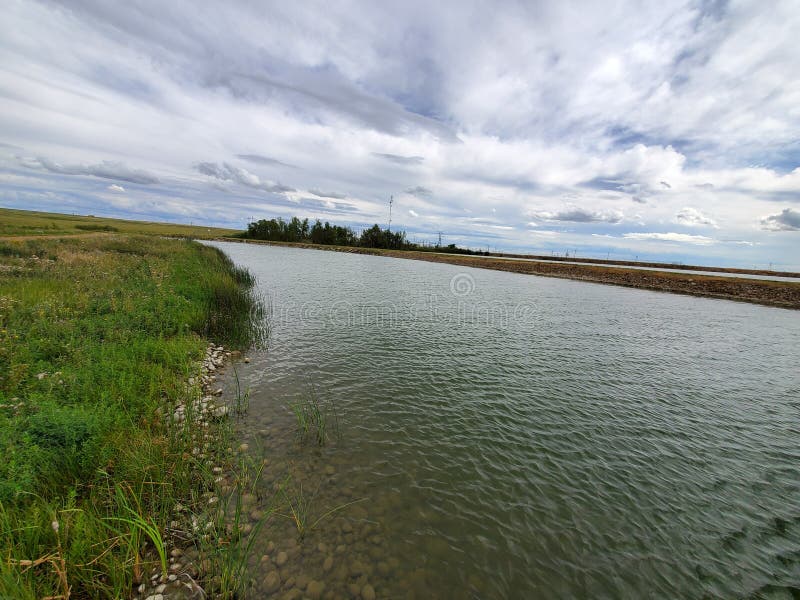 Spring is on the rise stock photo. Image of marsh, reservoir - 213480244