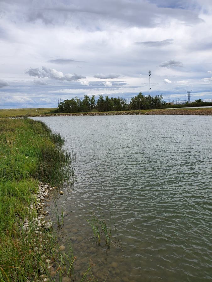 Spring is on the rise stock image. Image of marsh, shore - 213480253