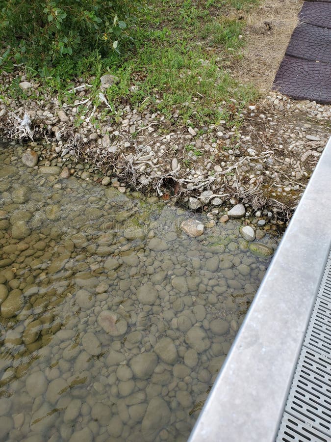 Spring is on the rise stock photo. Image of wall, stonewall - 213480188