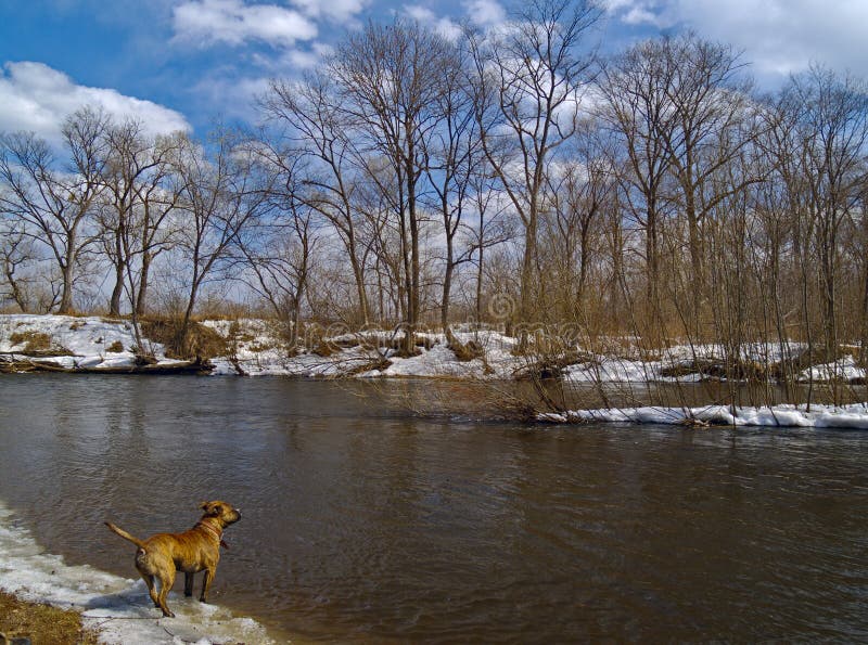 The spring river stock photo. Image of warm, landscape - 24802552