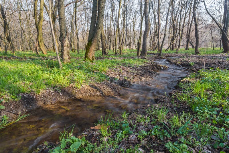 Spring river stock photo. Image of forest, lush, nature - 37902966