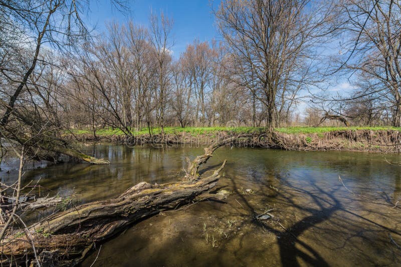Spring river stock photo. Image of river, purple, oasis - 38446242