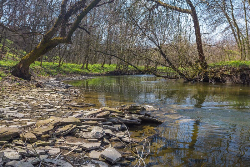 Spring river stock photo. Image of blue, lake, purple - 38446534