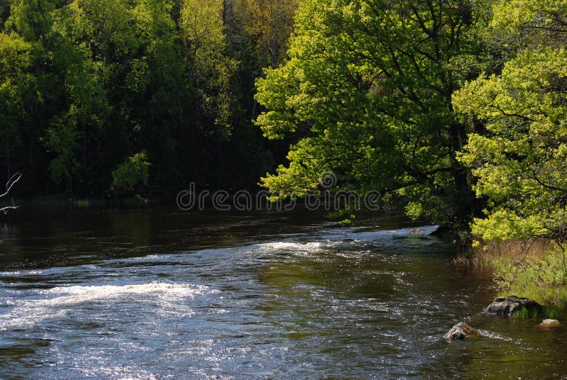 Spring River stock image. Image of beautiful, water, flowing - 5333359