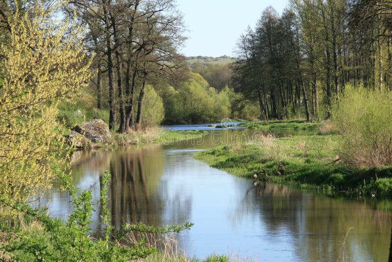Spring River stock image. Image of nature, bushes, trees - 9036309